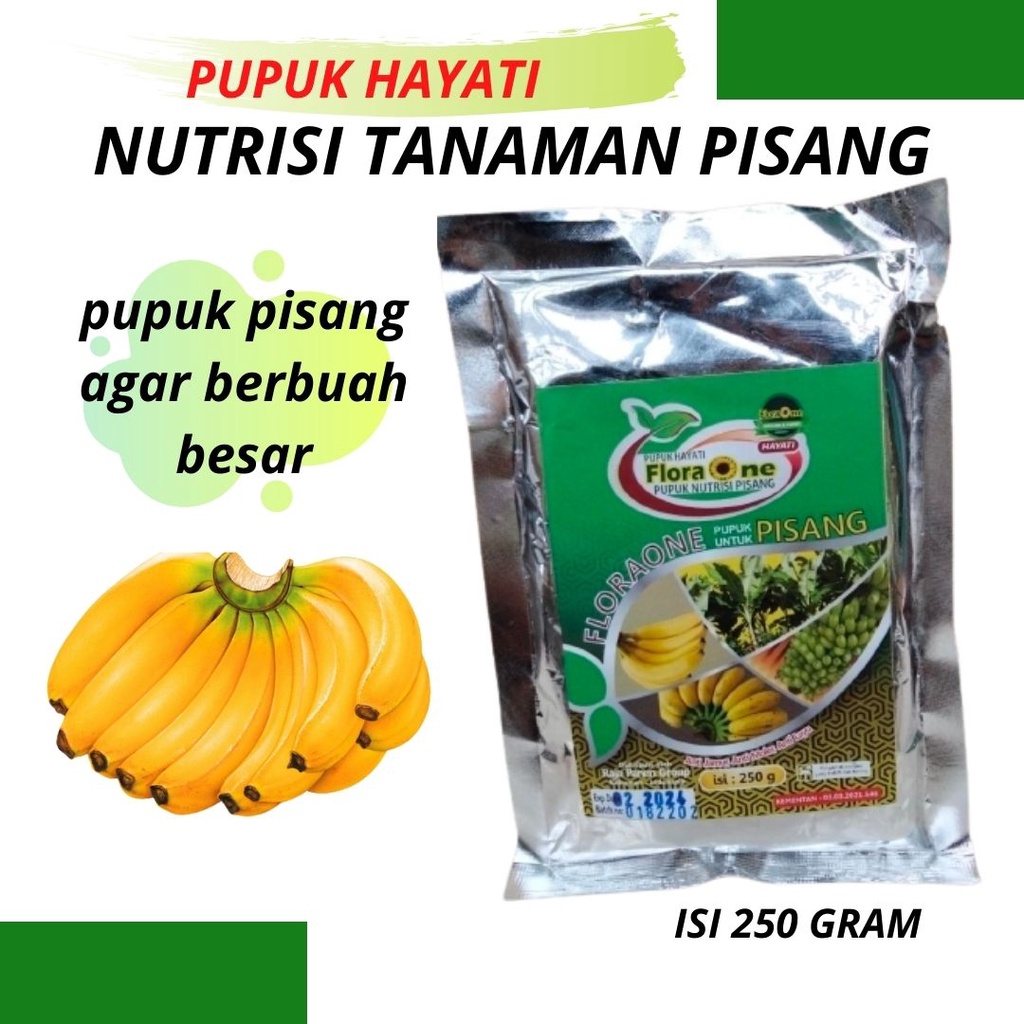 Jual Pupuk Pisang Cepat Berbuah Booster Hayati Pisang, Obat Penyubur Tanaman Pisang Kepok ...