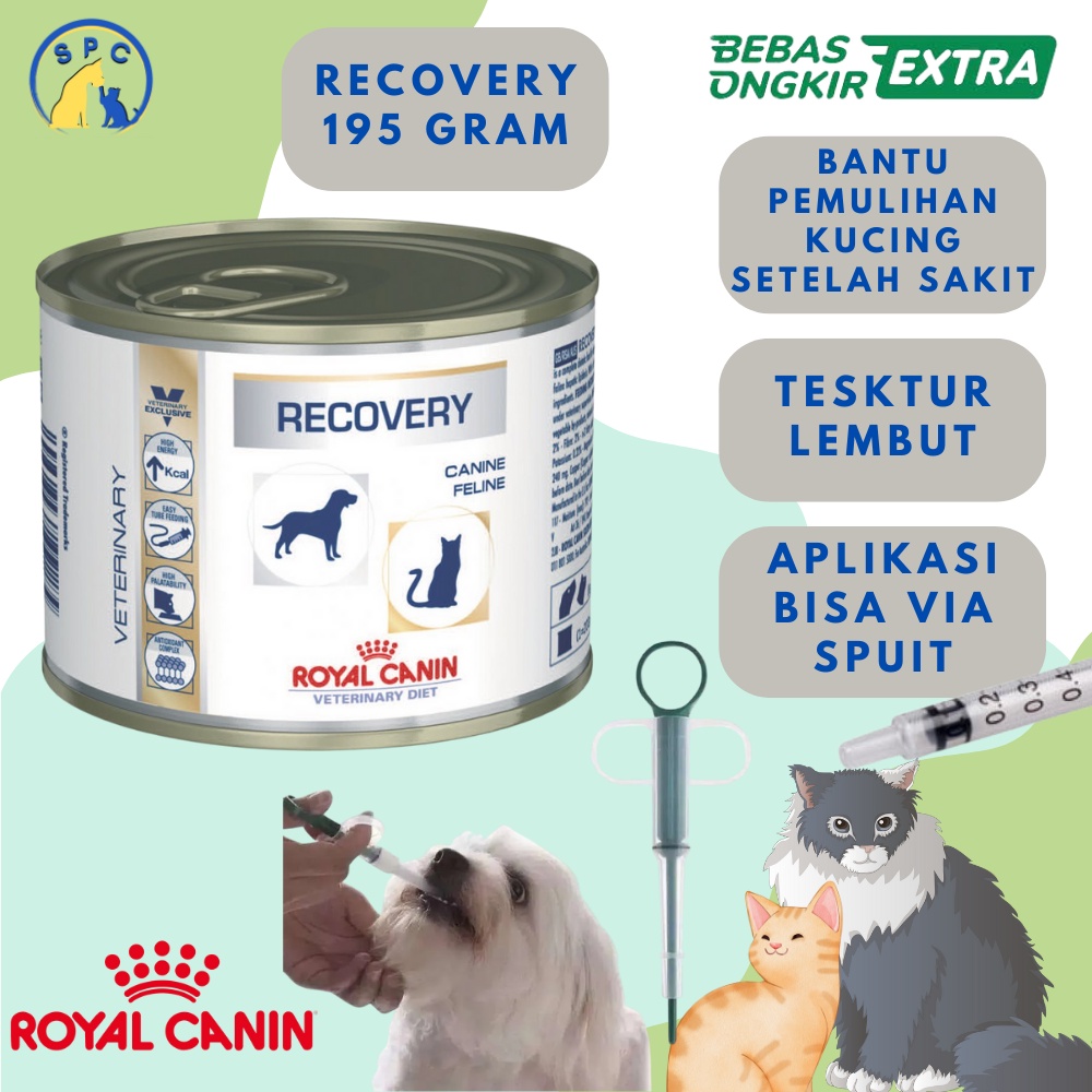 Jual Royal Canin Recovery RC Recovery Makanan Basah Wet Food proses ...