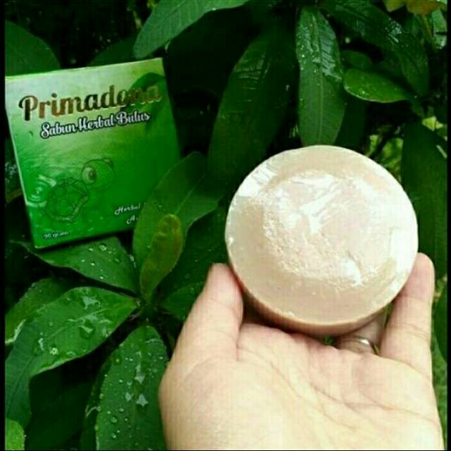 Jual SABUN BULUS Primadona Bulat Susu Original | Shopee Indonesia