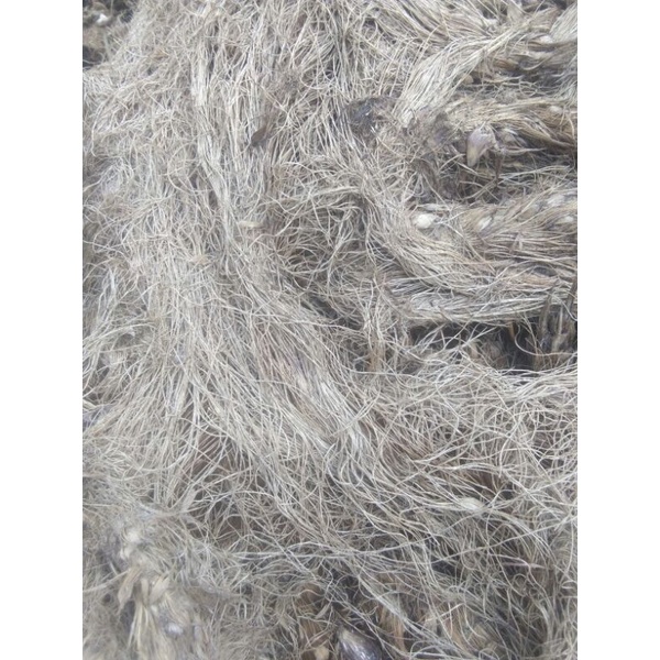 Jual Serat kelapa sawit coco oil fiber | Shopee Indonesia