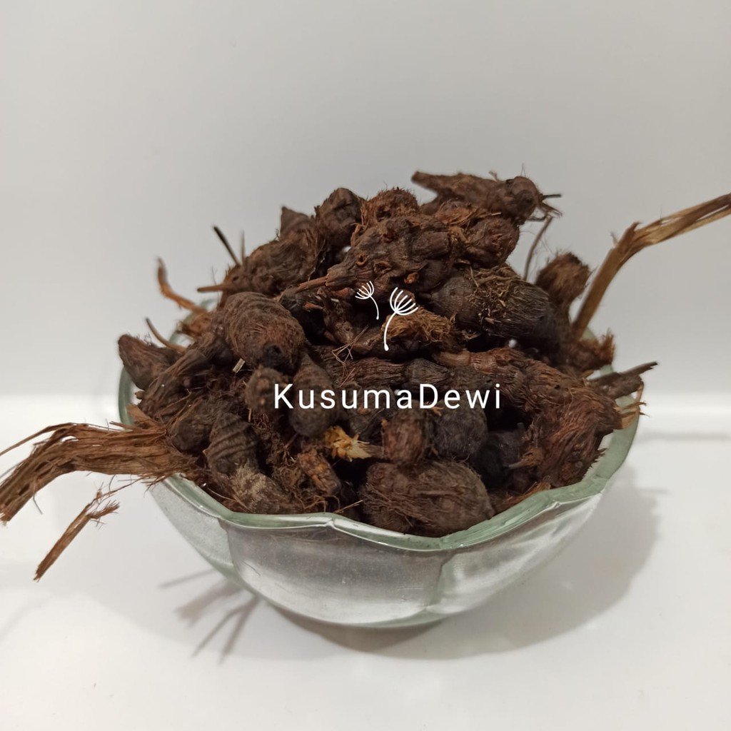 Jual Rumput Teki Kering / Nutgrass / Melaran 500gr | Shopee Indonesia