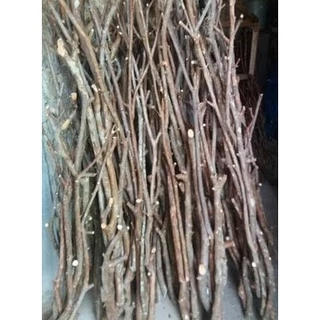 Jual Ranting Pohon Terlengkap & Harga Terbaru Mei 2024 | Shopee Indonesia