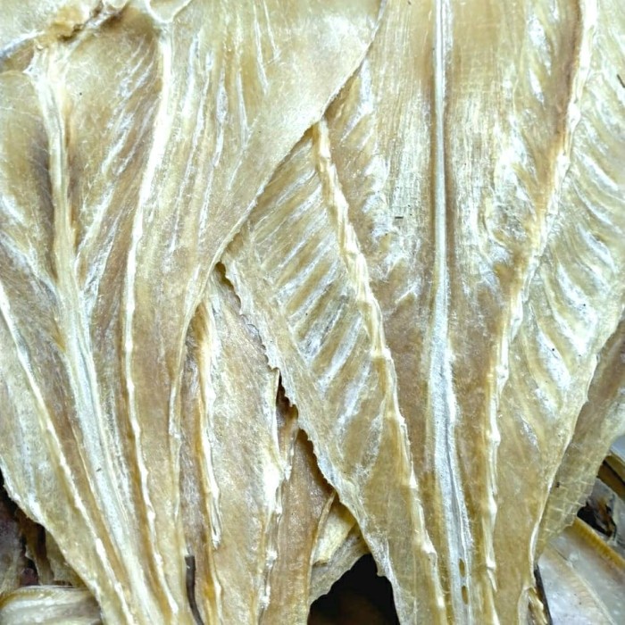 Jual Ikan Pari/Pare Medan 1kg | Shopee Indonesia