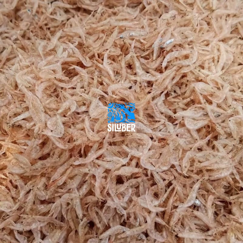 Jual Udang Rebon / Udang Rebon Kering / Ikan Asin Rebon 500g COD ...