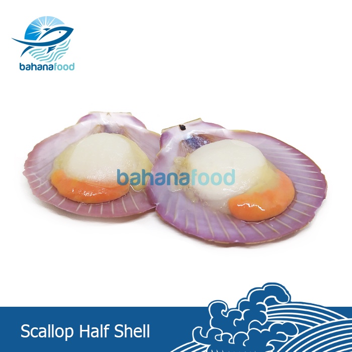 Jual Frozen Scallop | Shopee Indonesia