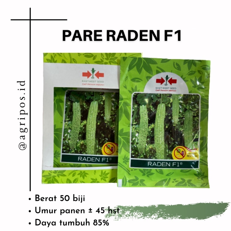 Jual BENIH PARE RADEN F1 CAP PANAH MERAH | Shopee Indonesia