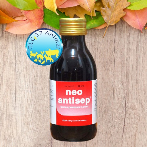 Jual NEO ANTISEP 120 ML BY MEDION desinfektan pembasmi kuman | Shopee ...