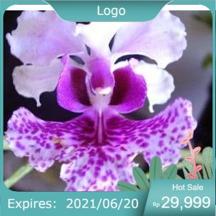 Jual RDG benih/biji/bibit anggrek dendrobium Model Keren Terbaru ...