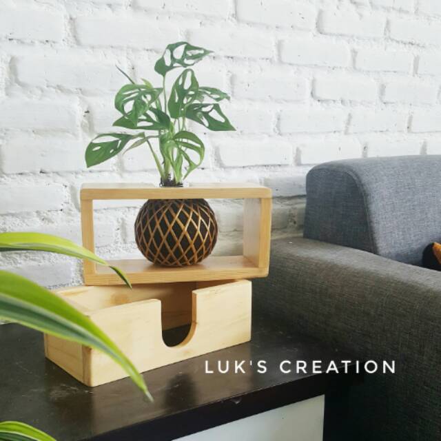Jual Frame box planter - frame box kokedama - seater kokedama | Shopee ...