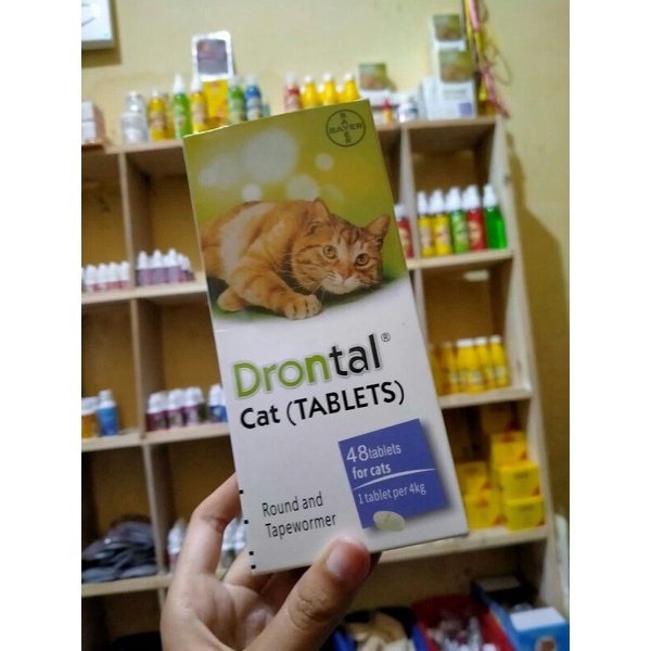Jual DRONTAL CAT Obat Cacing Kucing 1 Tablet - Obat Cacing Hewan Kucing Cat Kitten Bayer ED 2026 ...