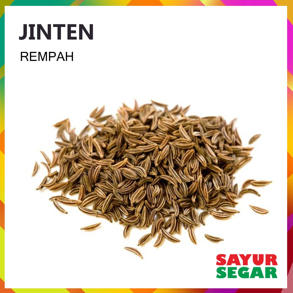 Jual Jintan / Jinten Bumbu Masak [5G] | Shopee Indonesia