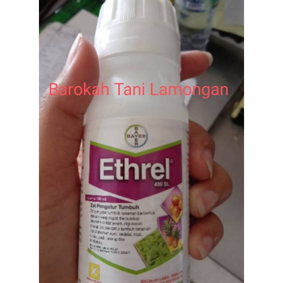 Jual ETHREL 480SL | Shopee Indonesia