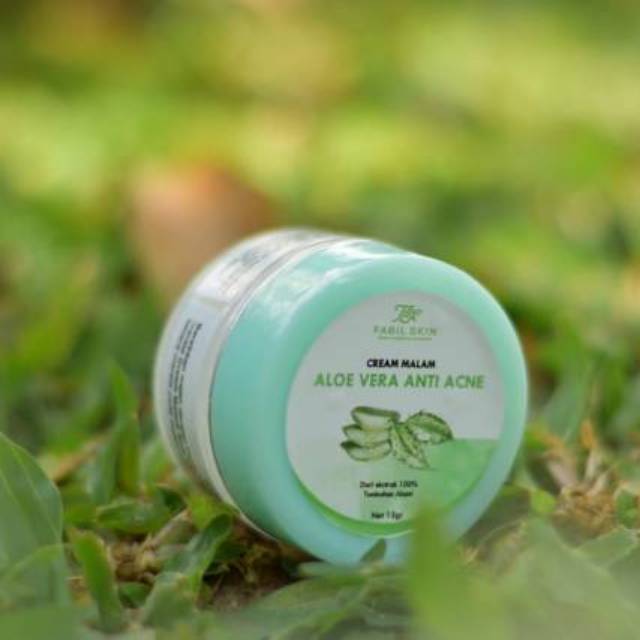 Jual Cream malam aloe vera anti acne | Shopee Indonesia