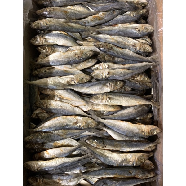 Jual Ikan asin Peda japuh/layang/kecil 250gr | Shopee Indonesia