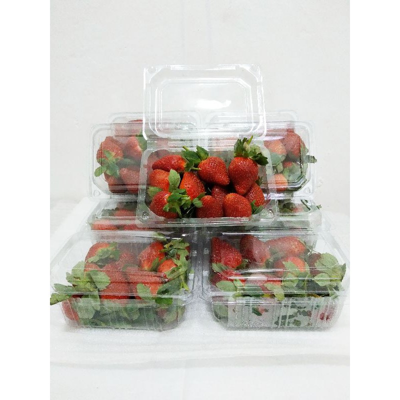 Jual strawberry buah stroberi Kellybright +-250gr | Shopee Indonesia