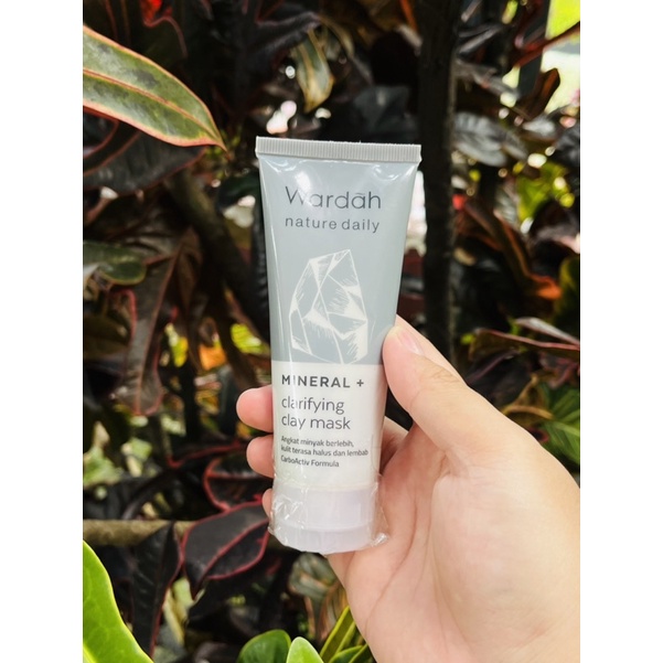 Jual Wardah Nature Daily Mineral+ Clarifying Clay Mask 60 ml | Shopee ...