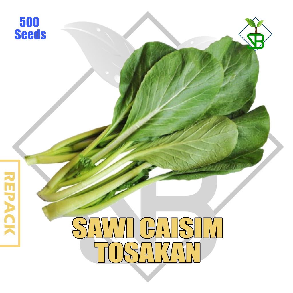 Jual 500 seeds - benih sawi caisim tosakan (repack) | Shopee Indonesia