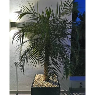 Produk cvrgmnursery1970 | Shopee Indonesia