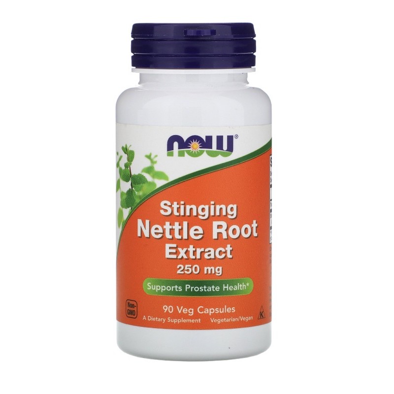 Jual READY EXP: 04/28 Now Foods, Stinging Nettle Root Extract, 250 mg ...