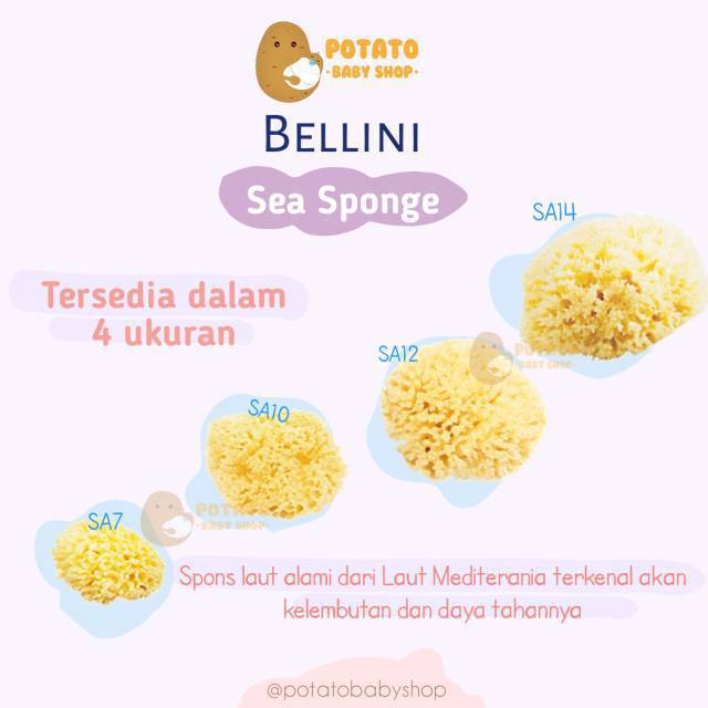 Jual Bellini Sea Sponge / spons mandi bayi | Shopee Indonesia
