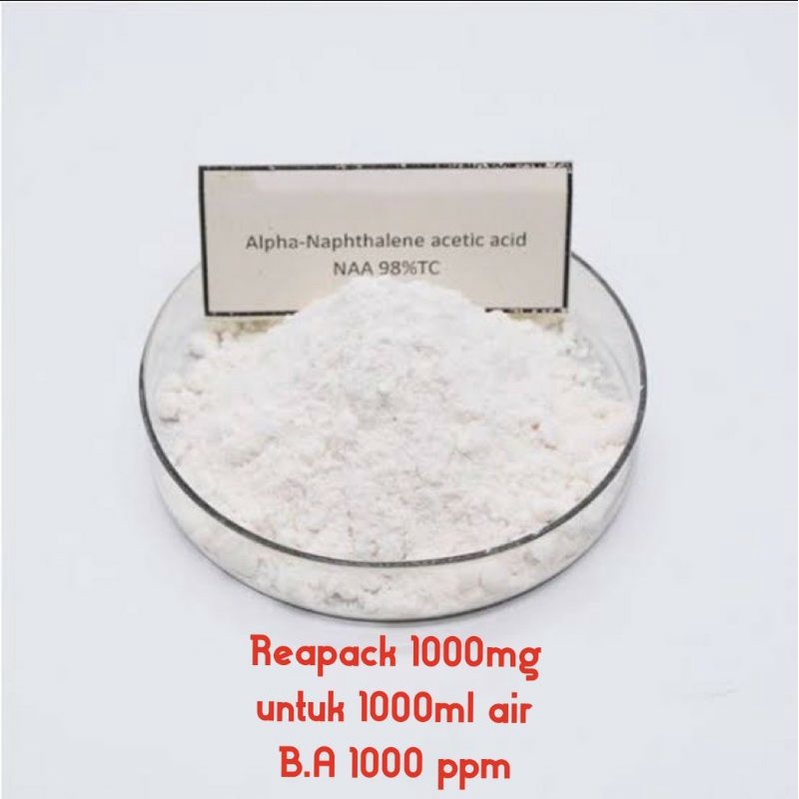 Jual ZPT HORMON Auksin NAA 1000mg dan pelarut bisa dijadikan larutan ...