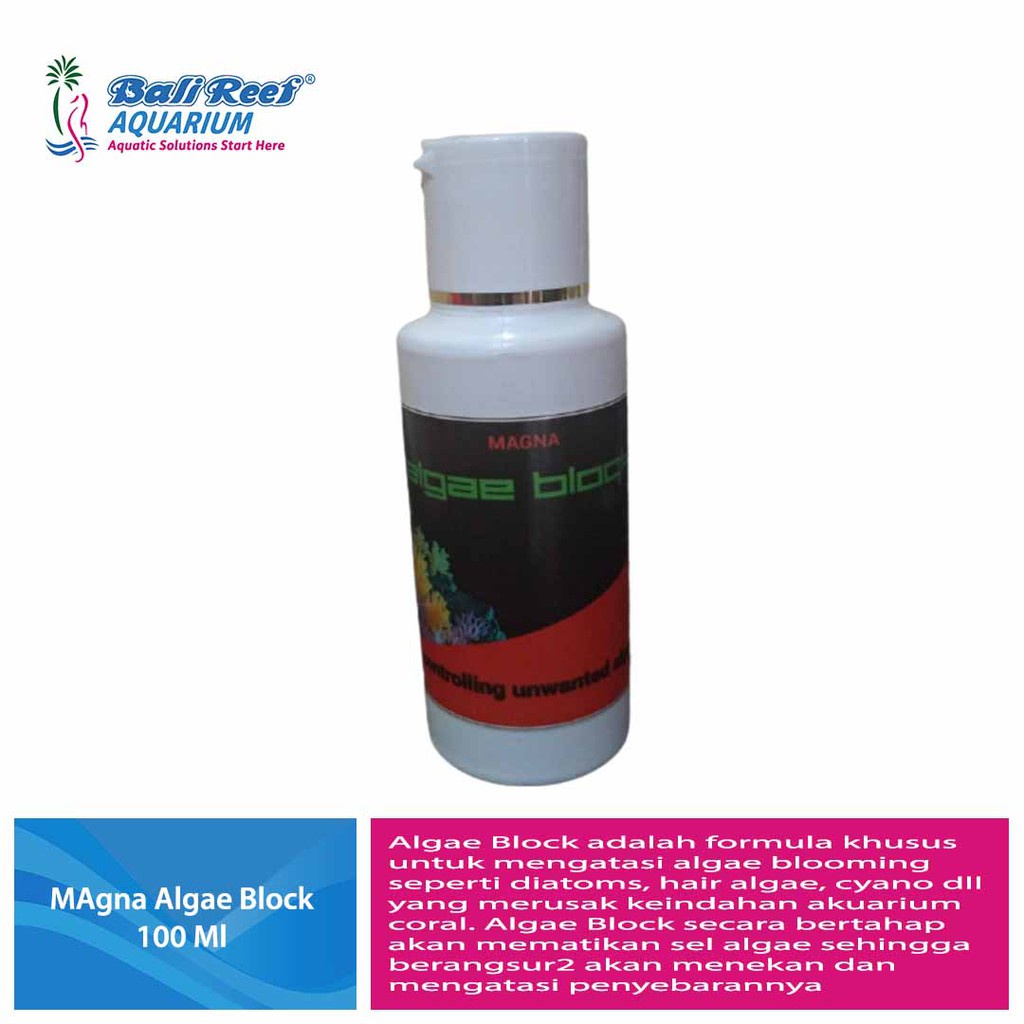Jual Magna Algae Block Obat Anti Alga 100 Ml | Shopee Indonesia