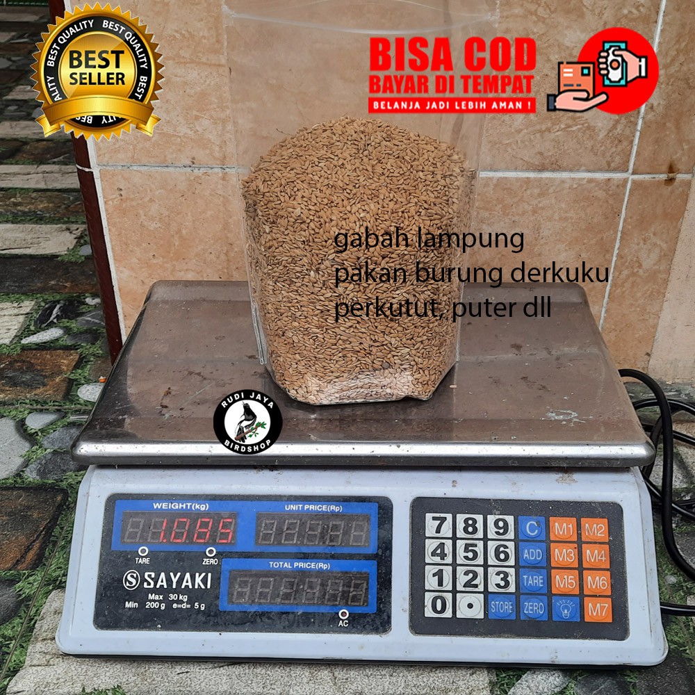 Jual GABAH BANGKOK 1 KG PADI LAMPUNG PAKAN MAKANAN BURUNG AYAM LOVEBIRD ...