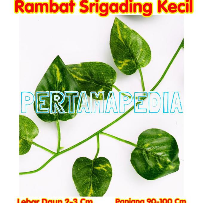 Jual Daun Rambat Plastik/ Daun Rambat Palsu/ Daun Rambat Sintetis ...