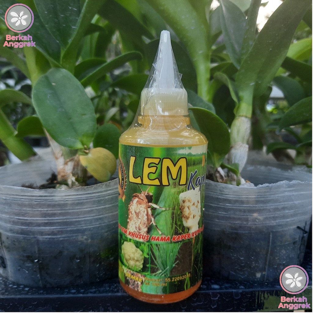 Jual Lem Kaper 100 ml Perangkap Kaper Kupu Kutu Daun | Shopee Indonesia