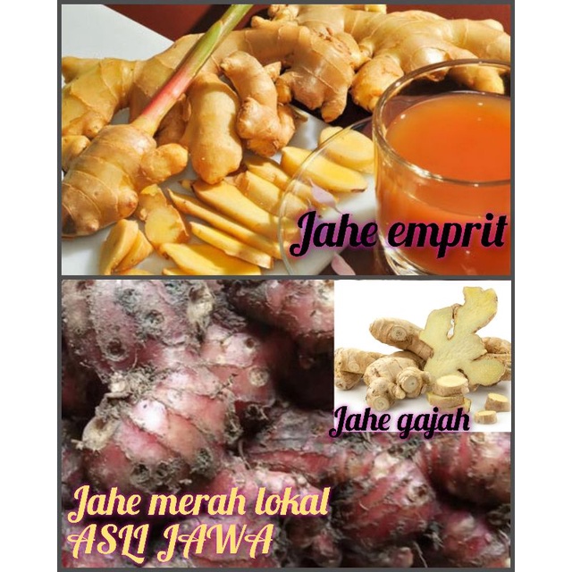 Jual jahe emprit / jahe gajah segar alami 100gr | Shopee Indonesia Jual jahe emprit / jahe gajah segar alami 100gr | Shopee Indonesia