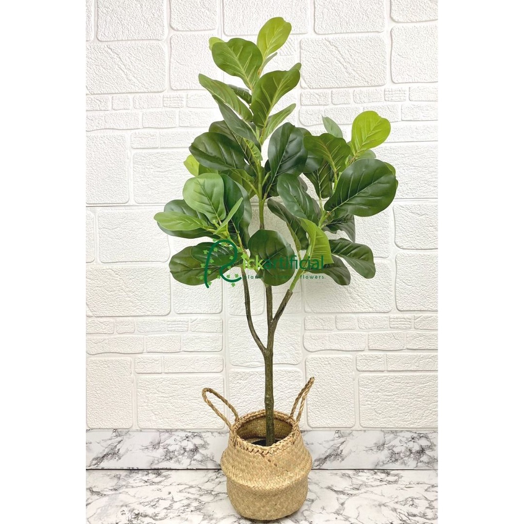 Jual Pohon Daun Ketapang Biola X4 T120 Latex Artificial Anyaman Purun ...