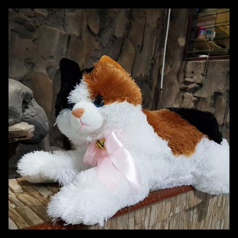 Jual Boneka kucing cantik Lying cat Esmeralda XL SNI | Shopee Indonesia