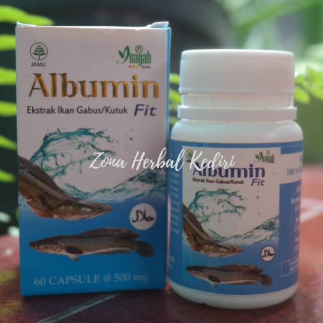 Jual ALBUMIN (Kapsul Ekstrak Ikan Kutuk/Gabus) | Shopee Indonesia