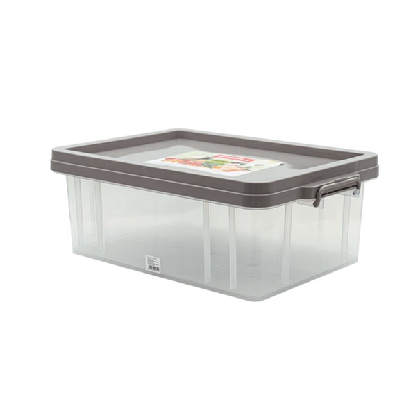 Jual LIONSTAR FX 5 CLEAR BOX NO 30 KOTAK PENYIMPANAN SERBAGUNA LION ...