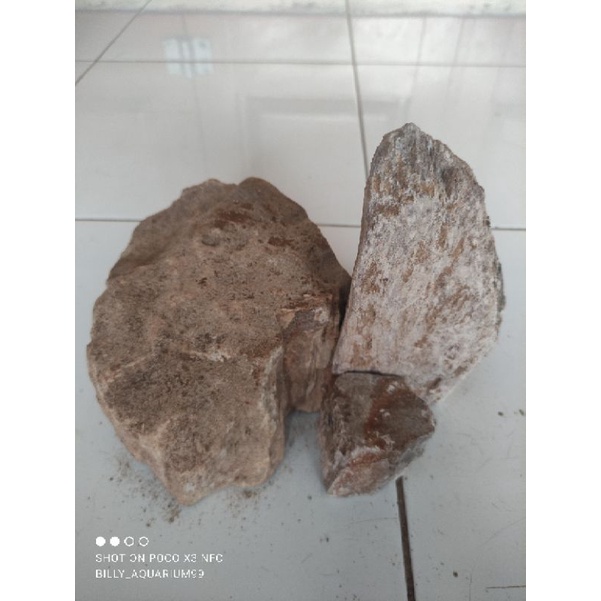 Jual Batu Fossil Hiasan Aquarium asli batu dari alam | Shopee Indonesia