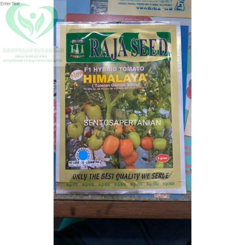Jual benih tomat hibrida HIMALAYA F1 5gr dari RAJA SEED | Shopee Indonesia