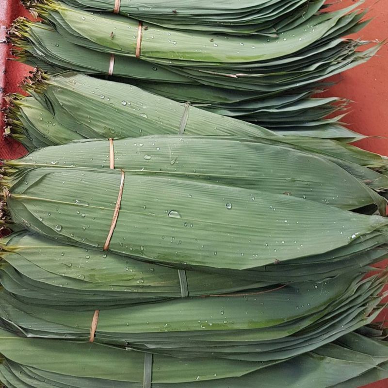 Jual DAUN BAMBU APUS | BUNGKUS BAKCANG | BUNGKUS MAKANAN | Shopee Indonesia