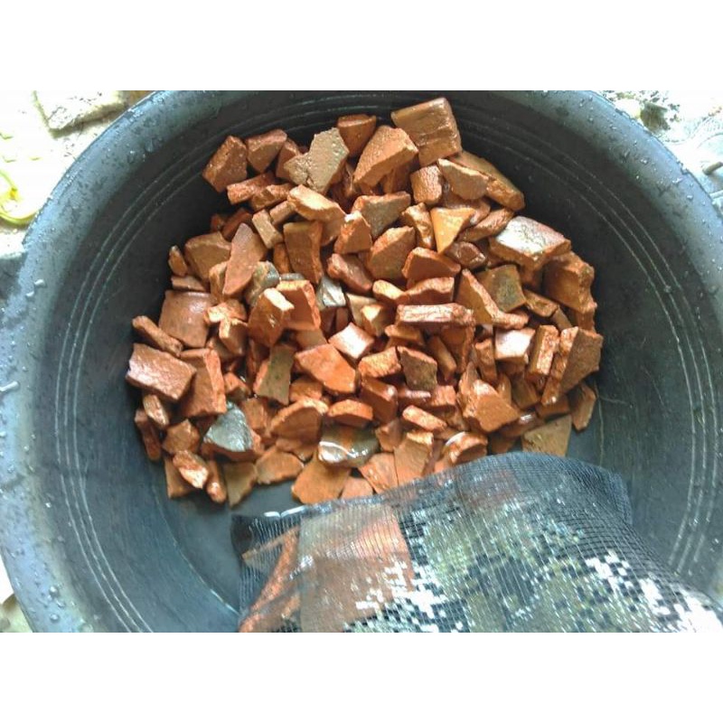 Jual Pecahan Batu Bata dan genting Media Tanam Dan Aquascape 500 gram ...