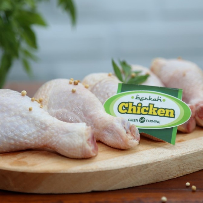 Jual Berkah Chicken Paha Bawah/Drum Stick Ayam Negeri Probiotik Organik ...