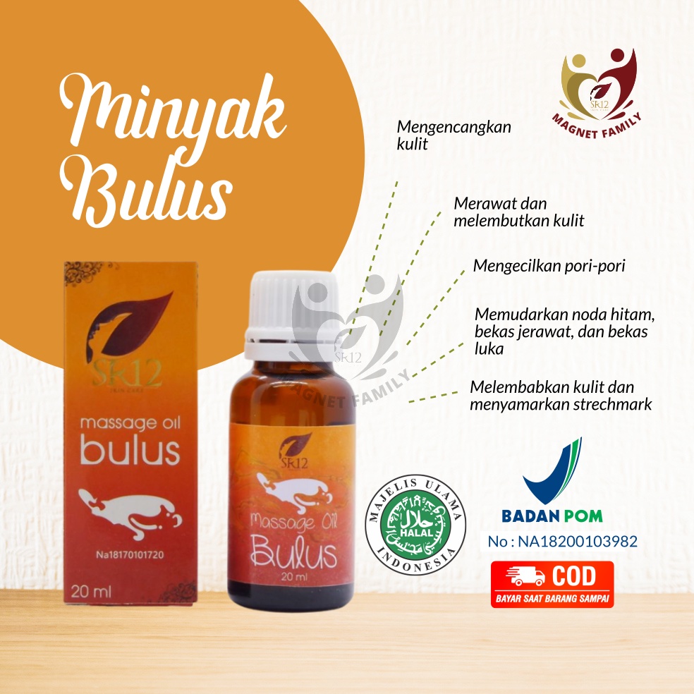 Jual Minyak Bulus SR12 Skincare Skin Care Massage Oil Obat Herbal Alami ...