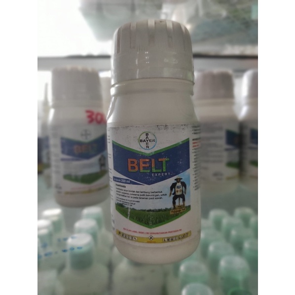Jual BELT BAYER INSEKTISDA | Shopee Indonesia