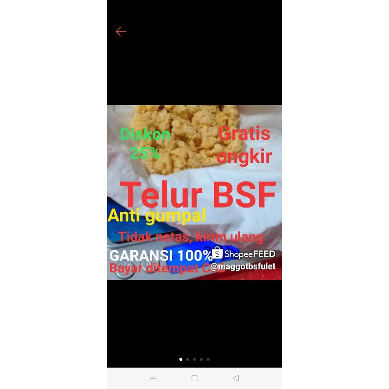 Jual telur Maggot BSF 500gram | Shopee Indonesia