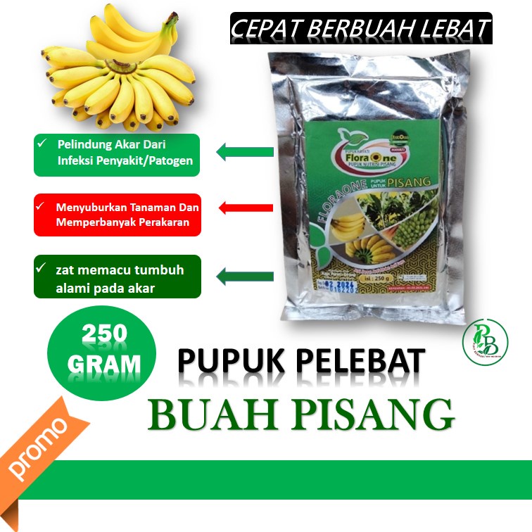 Jual Pupuk Hayati pisang keju, Boster Buah Pisang Berbuah Lebat Anti Layu Fusarium | Shopee ...