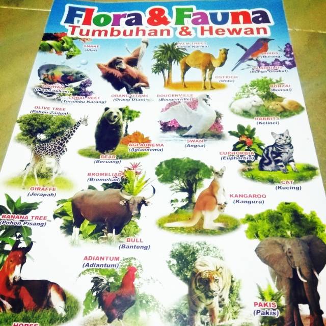 Jual POSTER FLORA DAN FAUNA | Shopee Indonesia