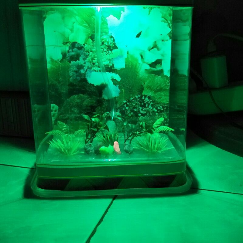 Jual aquarium mini kekinian kotak | Shopee Indonesia