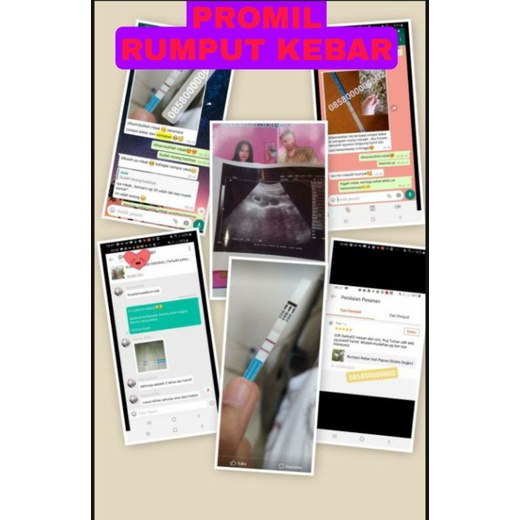 Jual Rumput Kebar ( Herbal ekonomis) | Shopee Indonesia