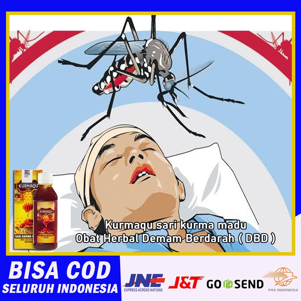 Jual Obat Herbal Demam Berdarah Dengue DBD/Demam Tifoid/Demam Scarlet ...