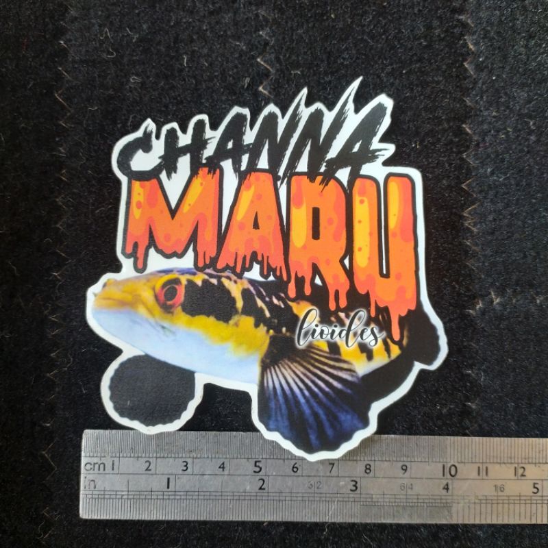 Jual STIKER CHANA MARU YELLOW SENTARUM UNTUK AKUARIUM BESAR | Shopee ...