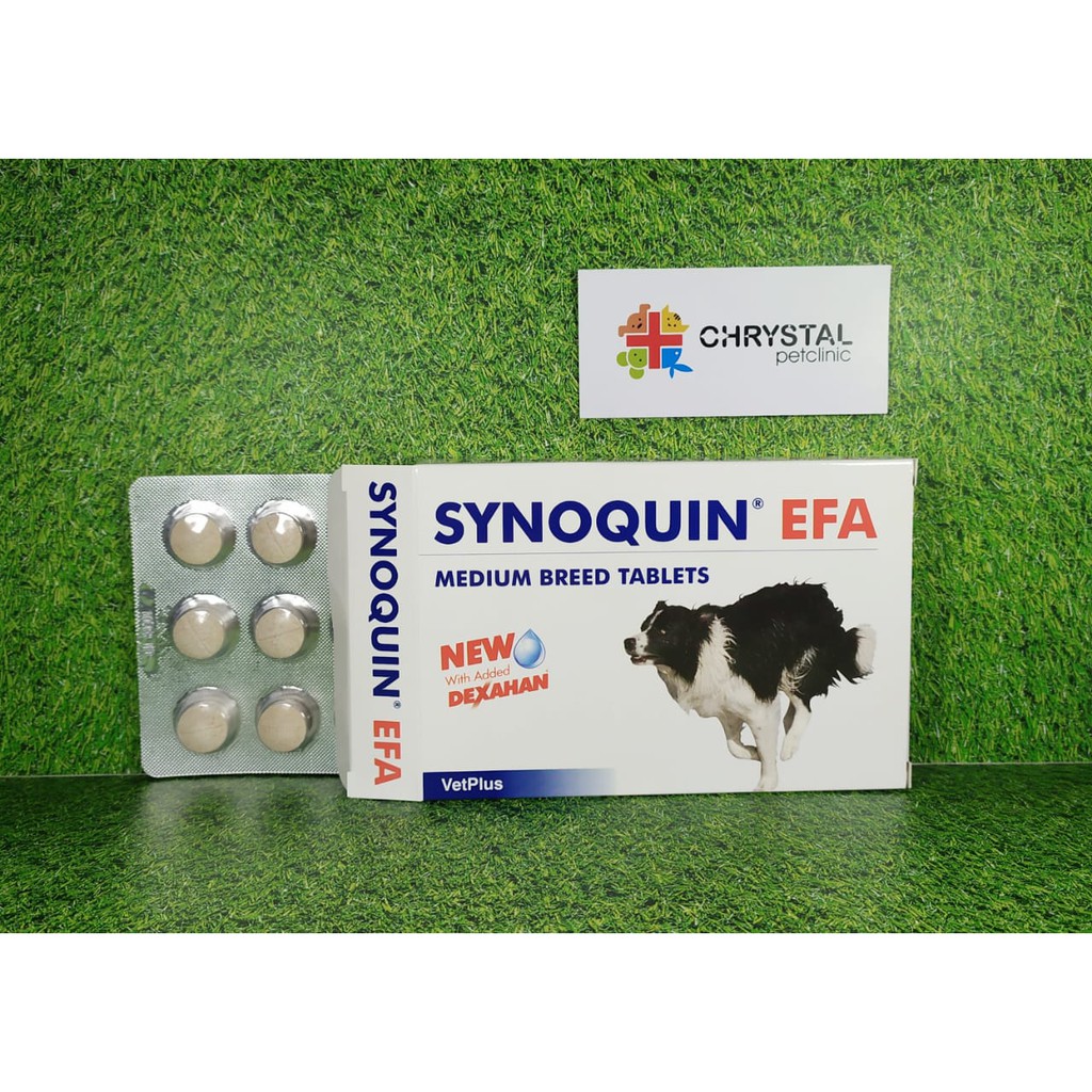 Jual SYNOQUIN MEDIUM BREED PER TABLET | Shopee Indonesia