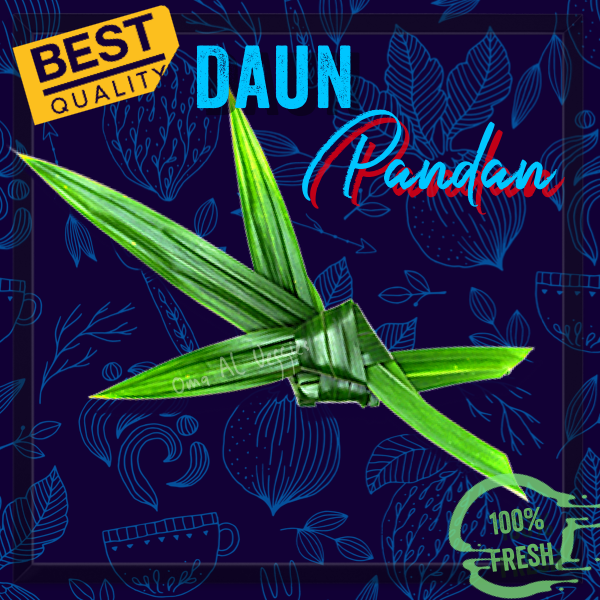 Jual DAUN PANDAN / FRESH PANDAN LEAVES PER IKAT BUMBU DAPUR | Shopee ...